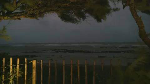 Wind Trees Night Stock Footage ~ Royalty Free Stock Videos | Pond5