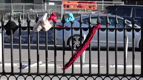 Wind ]Effect Stock Videos – Royalty-Free HD & 4K Videos