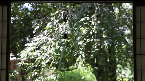 Wind chime fluttering in the wind in tra... | Stock Video | Pond5