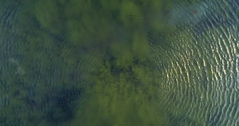 Wind Drafts Making Ripples On Ocean Surf... | Stock Video | Pond5