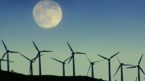 Slight Wind Stock Videos – Royalty-Free HD & 4K Videos | Page 5