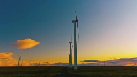 Vieo Video Stock Videos – Royalty-Free HD & 4K Videos