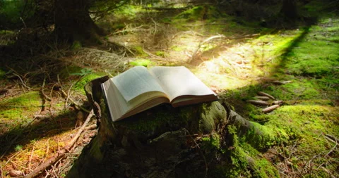 Wind turns the pages of an open book wit... | Stock Video | Pond5