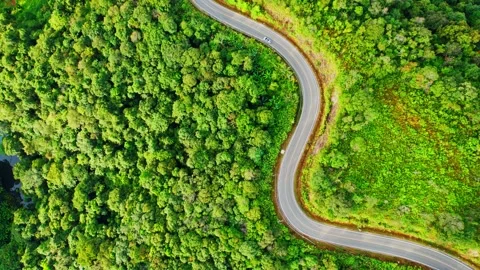 Winding asphalt road through tropical ra... | Stock Video | Pond5