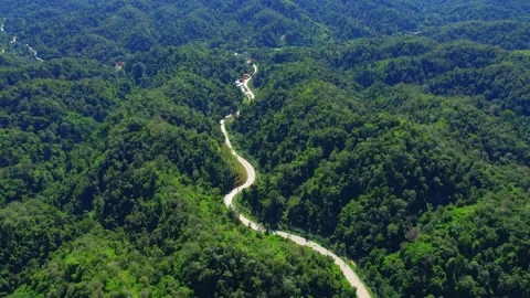 Winding asphalt road through tropical ra... | Stock Video | Pond5