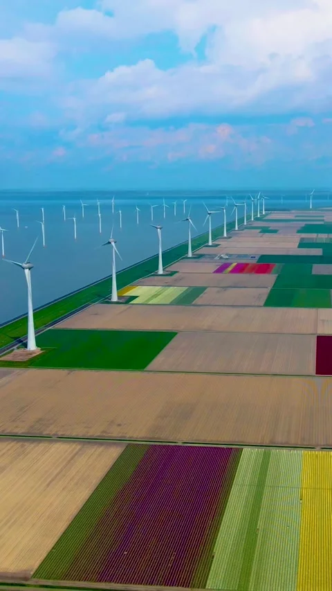 Windmill turbines at sea, windmill park ... | Stock Video | Pond5