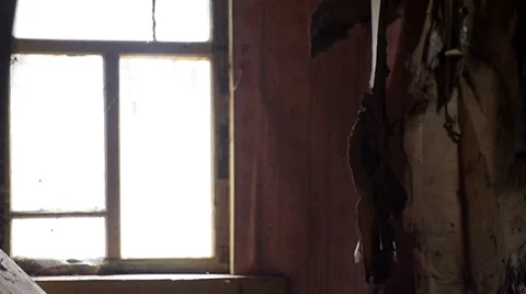 P2758 Wallpaper Stock Videos – Royalty-Free HD & 4K Videos | Pond5