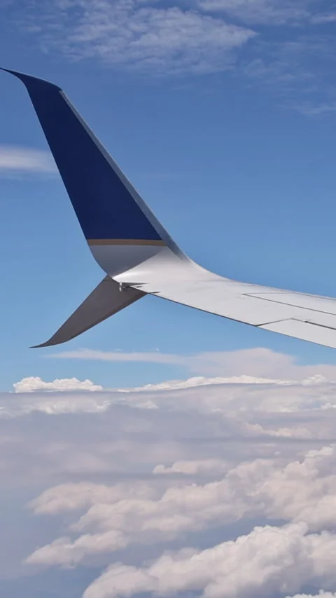 Airplane Over Sea Stock Videos – Royalty-Free HD & 4K Videos