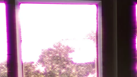 Future Purple Rain Stock Videos – Royalty-Free HD & 4K Videos