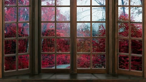 A window in rainy weather. Window overlo... | Stock Video | Pond5