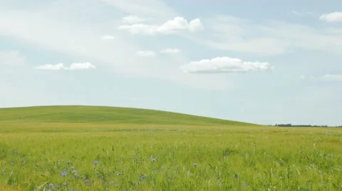 Windows Xp Stock Videos – Royalty-Free HD & 4K Videos | Pond5