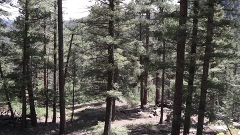 Stock Footage by Justodd | Official Pond5 Storefront