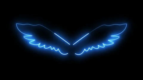 Wing animation. | Stock Video | Pond5