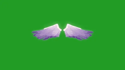 wing animation with Green screen | Stock Video | Pond5