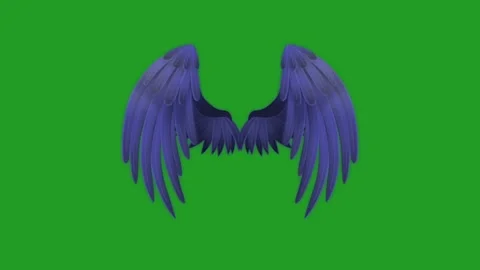 wing animation with Green screen | Stock Video | Pond5