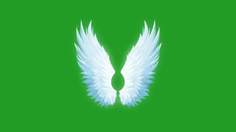 wing animation with Green screen | Stock Video | Pond5