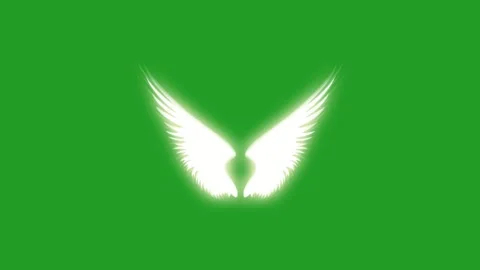 wing animation with Green screen | Stock Video | Pond5