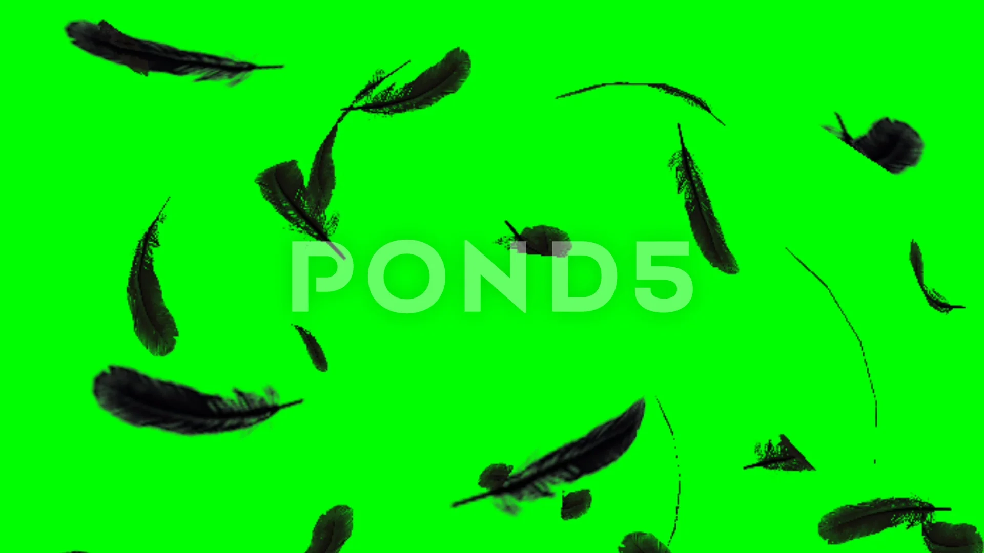 Falling Feathers Animated