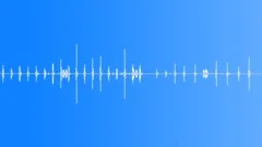 Large Bird Wings Flapping Sound Effects ~ Sounds | Pond5