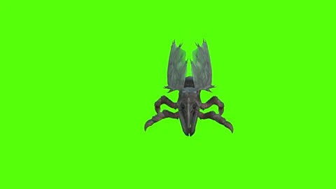 Winged Monster Strafe Left Green Screen ... | Stock Video | Pond5