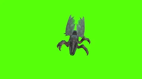 Winged Monster Strafe Left Green Screen ... | Stock Video | Pond5