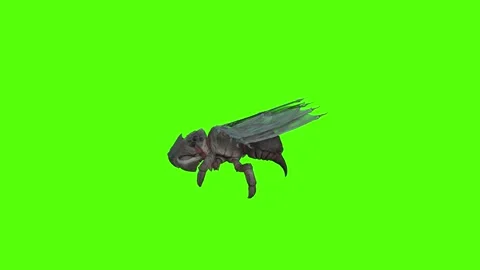 Winged Monster Walk Forward Green Screen... | Stock Video | Pond5