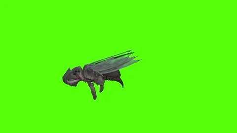 Winged Monster Walk Forward Position Gre... | Stock Video | Pond5