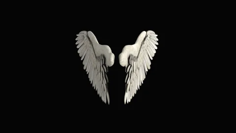 wings flap, loop, animation, transparent... | Stock Video | Pond5