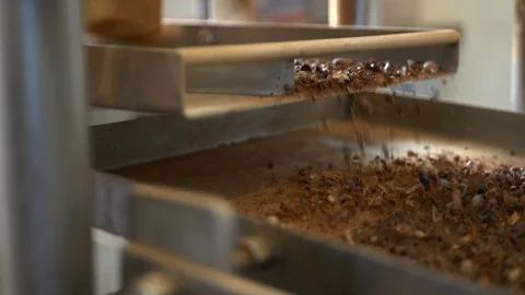 Winnowing Stock Videos – Royalty-Free HD & 4K Videos