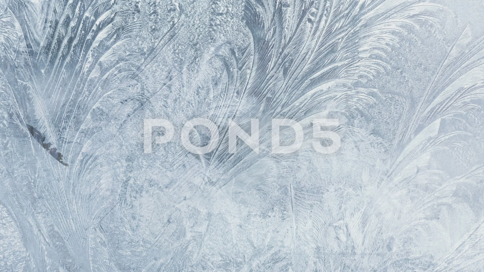 Frozen Window Texture