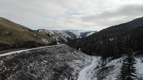 Winter evergreens with snow in eastern O... | Stock Video | Pond5