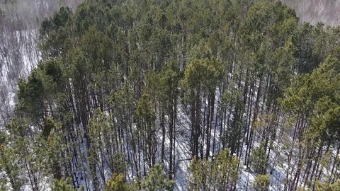 winter forest top view, drone shooting, ... | Stock Video | Pond5