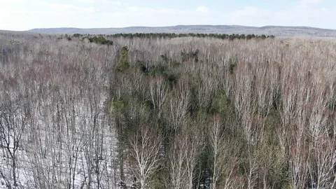 winter forest top view, drone shooting, ... | Stock Video | Pond5