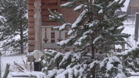 The Pine Church Stock Videos – Royalty-Free HD & 4K Videos | Pond5