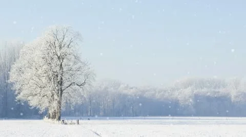 Snowfall Stock Video Footage | Royalty Free Snowfall Videos | Pond5