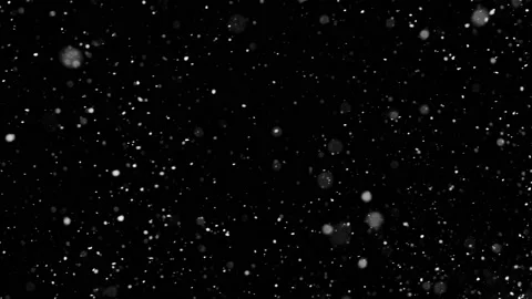Winter Snow falling on black background ... | Stock Video | Pond5