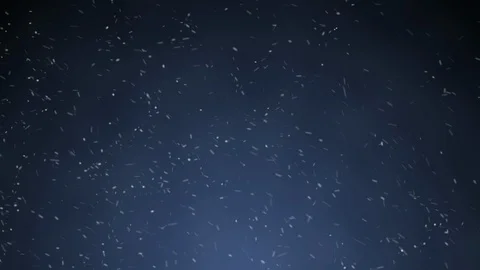 Winter Snow falling. Snow on dark blue b... | Stock Video | Pond5