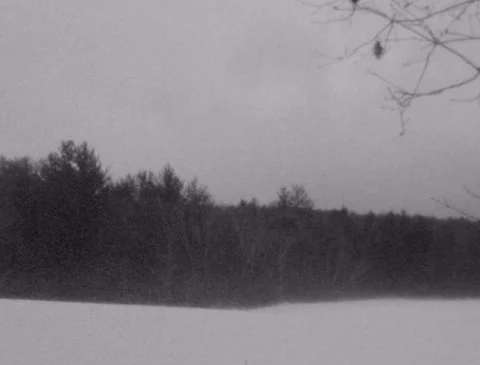Winter snow storm in field with view of ... | Stock Video | Pond5