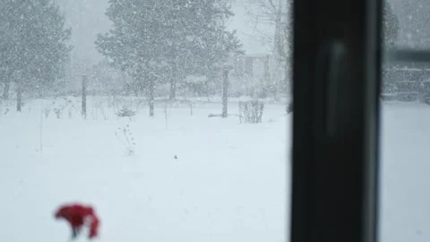 Snow Falling Outside Window Stock Videos – Royalty-Free HD & 4K Videos