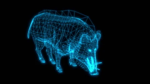 wire frame animation of Wild boar attack... | Stock Video | Pond5