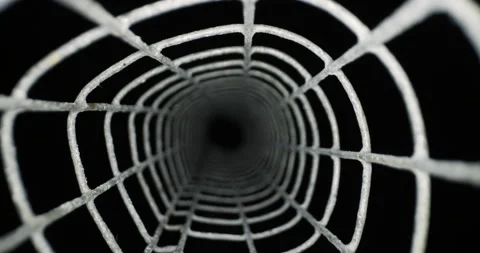 Waire Portal Stock Videos – Royalty-Free HD & 4K Videos | Pond5