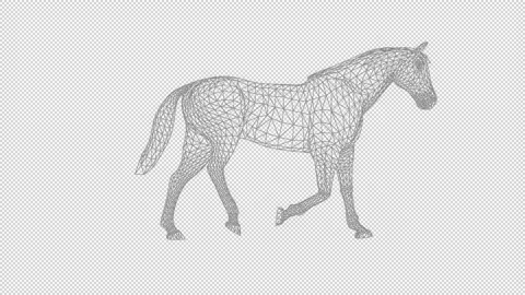 Wireframe 3d horse walk, seamless loop, ... | Stock Video | Pond5