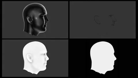 Wireframe, Alpha, Ambient occlusion Shad... | Stock Video | Pond5