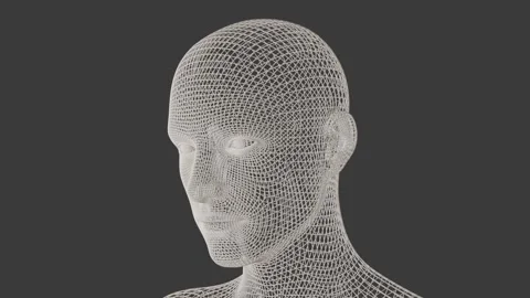 Wireframe Head Stock Video Footage | Royalty Free Wireframe Head Videos ...