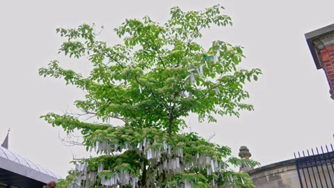 International Courts Locations Stock Videos – Royalty-Free HD & 4K Videos