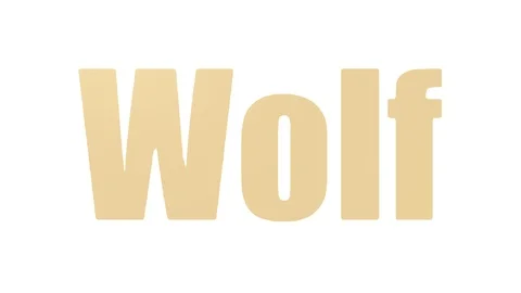 White Wolf Animated Stock Videos – Royalty-Free HD & 4K Videos | Pond5