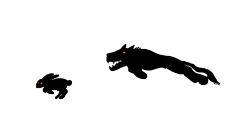 Chasing Rabbit Stock Videos – Royalty-Free HD & 4K Videos | Pond5