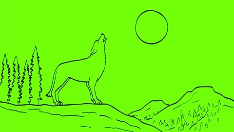 Wolf Howling at Moon Line Drawing 2d Ani... | Stock Video | Pond5
