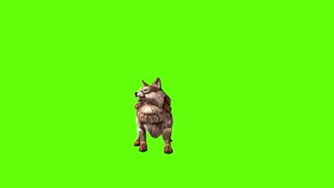 Wolf KT 2 attack green screen animation... | Stock Video | Pond5