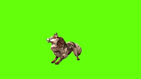Wolf KT 2 attack green screen animation... | Stock Video | Pond5